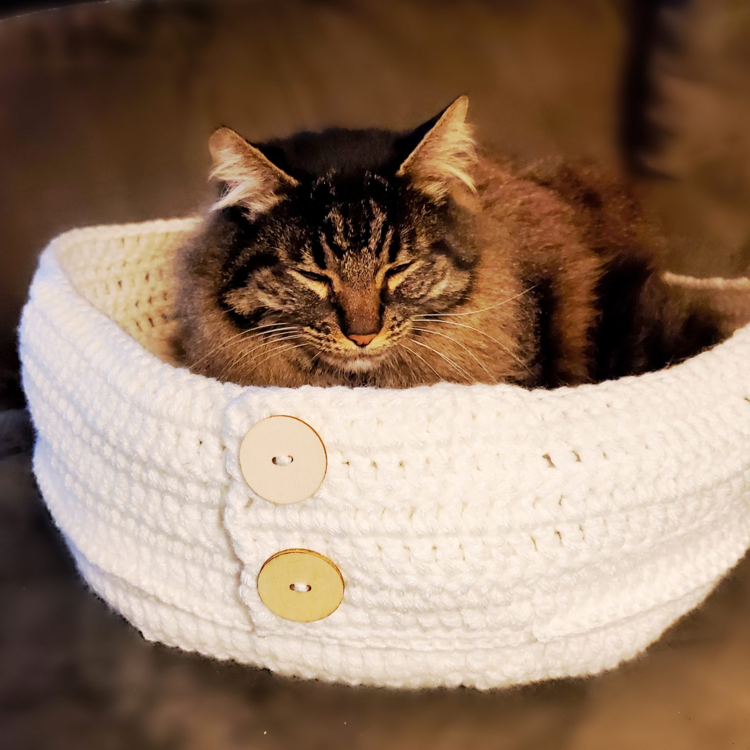 Cat Bed Crochet Pattern - Looped and Knotted